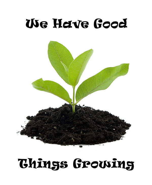 How Much Have You Grown? – Schuylkill County Fair How Much Have You Grown? – Schuylkill County Fair